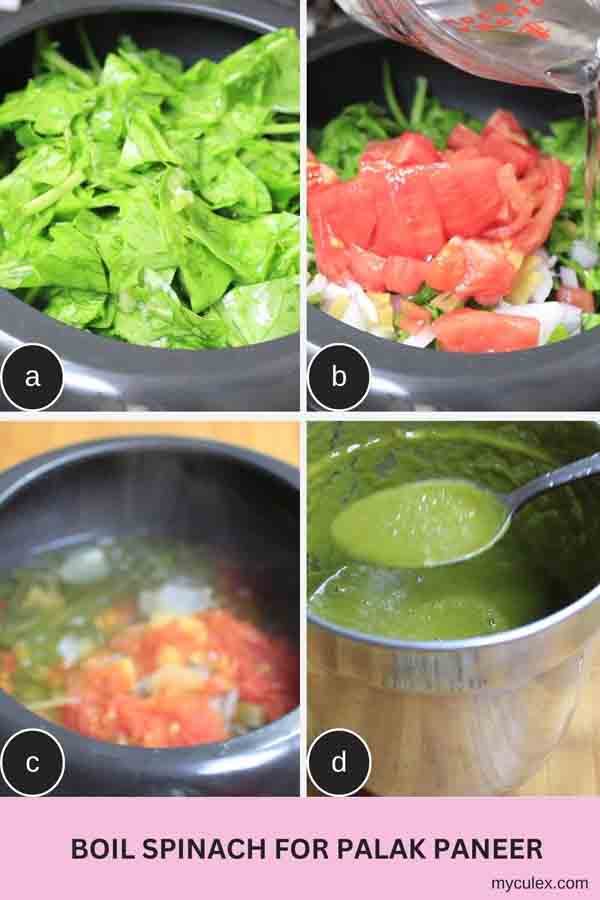 Flavor filled Palak Paneer recipe | Spinach with Cottage Cheese • My ...